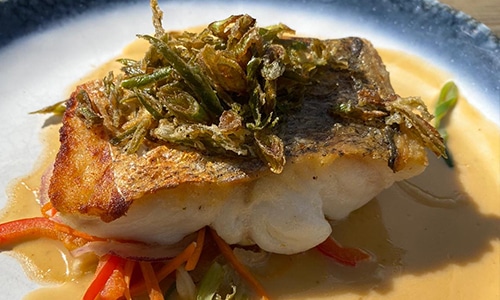 Events in Oxford - The Fishes